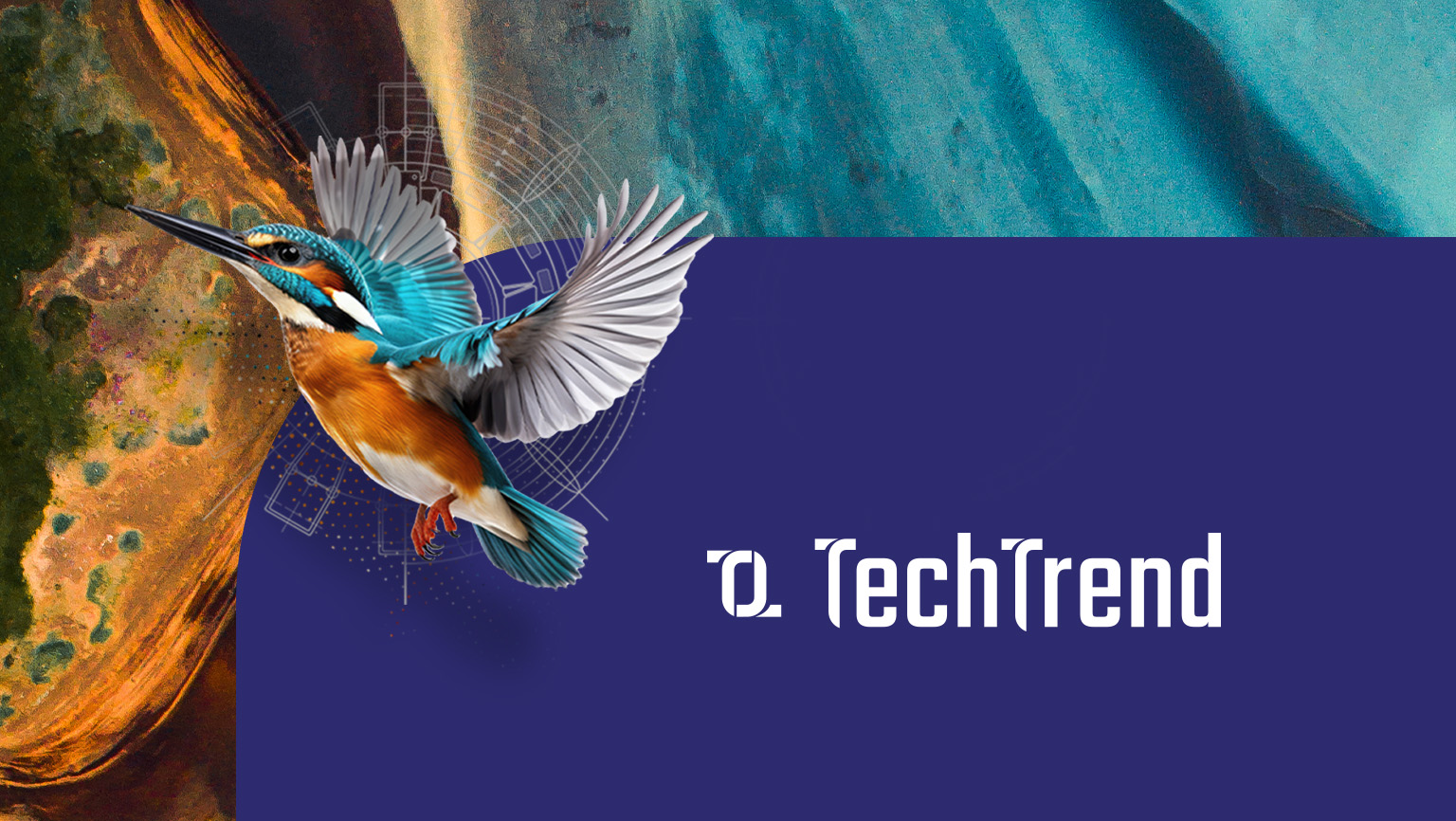 The Kingfisher Mindset: TechTrend’s Biomimicry Edge - TechTrend